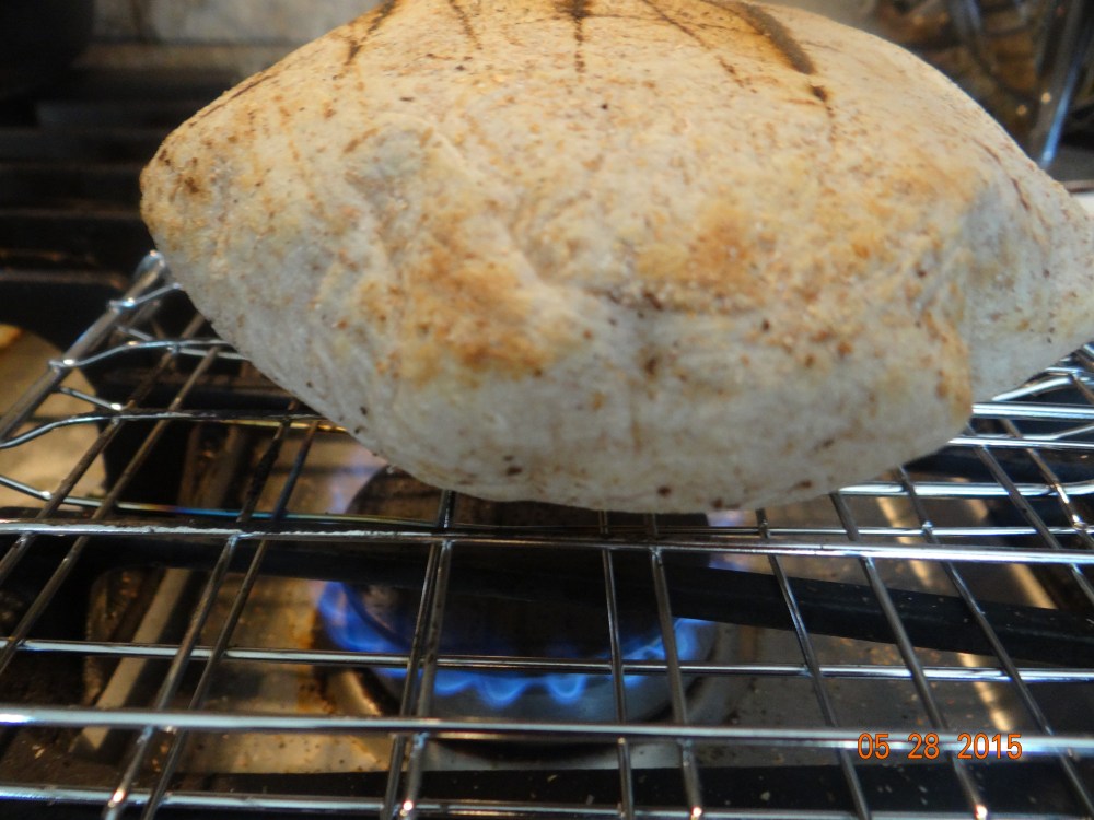 Egyptian baladi bread recipe…finally, after many failures! – SCARF GAL FOOD